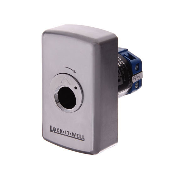 Lock It Well Key Switches - LSC | Complete Security Solutions - LSC ...